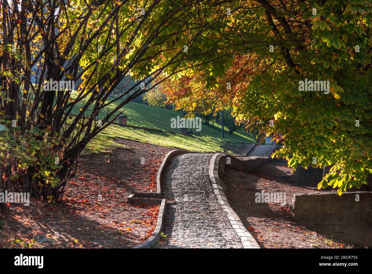 Best season of the year hi-res stock photography and images - Alamy