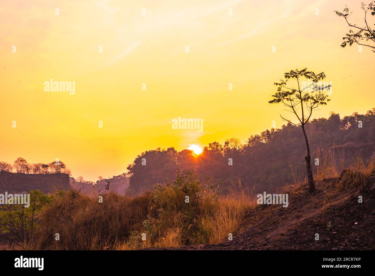 Manduro hi-res stock photography and images - Alamy