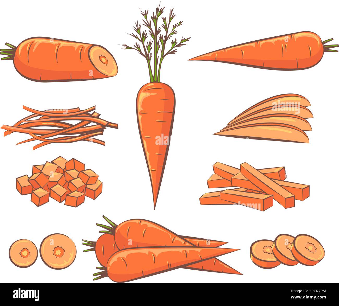 Half root icon cartoon Cut Out Stock Images & Pictures - Alamy