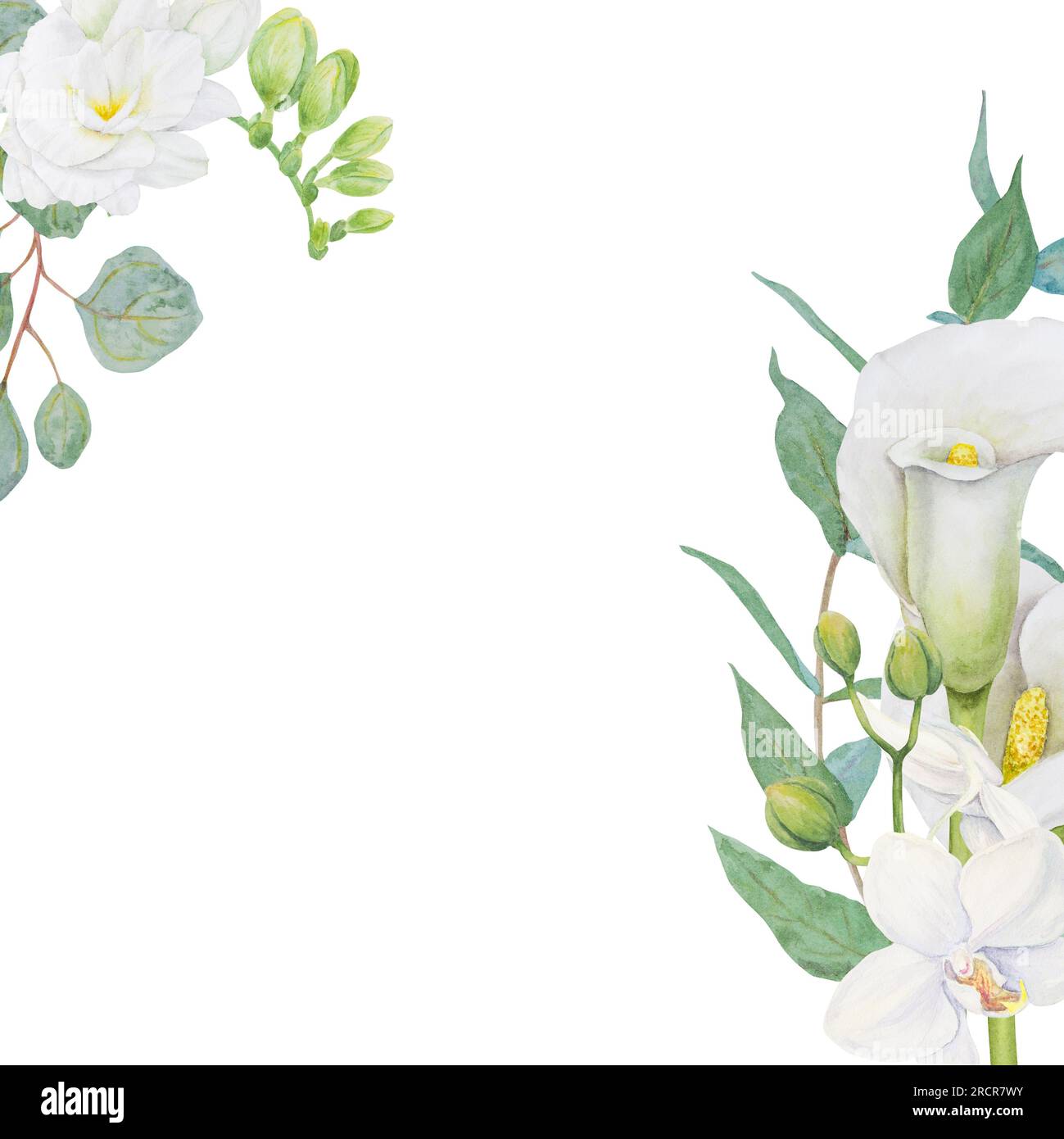 Watercolor frame of white calla lily, freesia, orchid flowers and ...