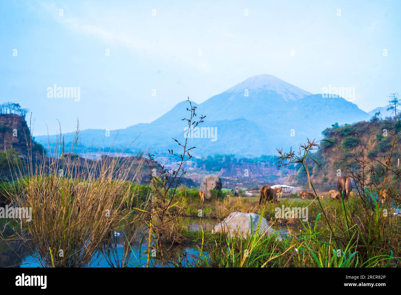 Manduro hi-res stock photography and images - Alamy