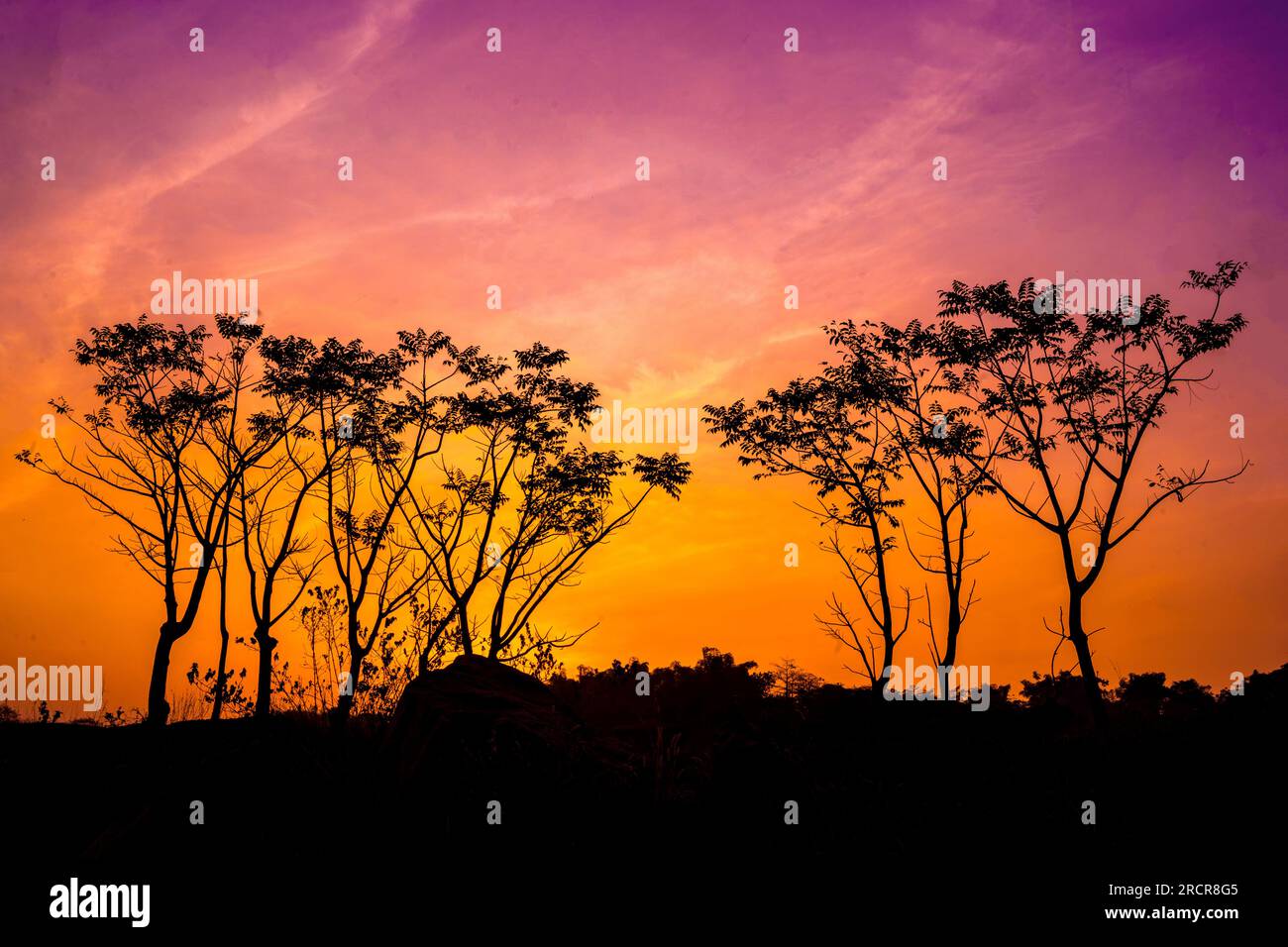 Manduro hi-res stock photography and images - Alamy