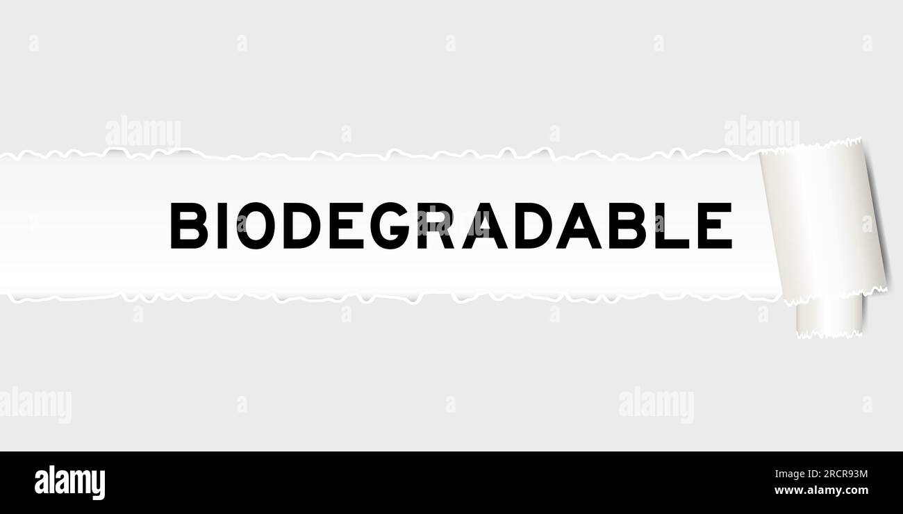 Ripped gray paper background that have word biodegradable under torn ...