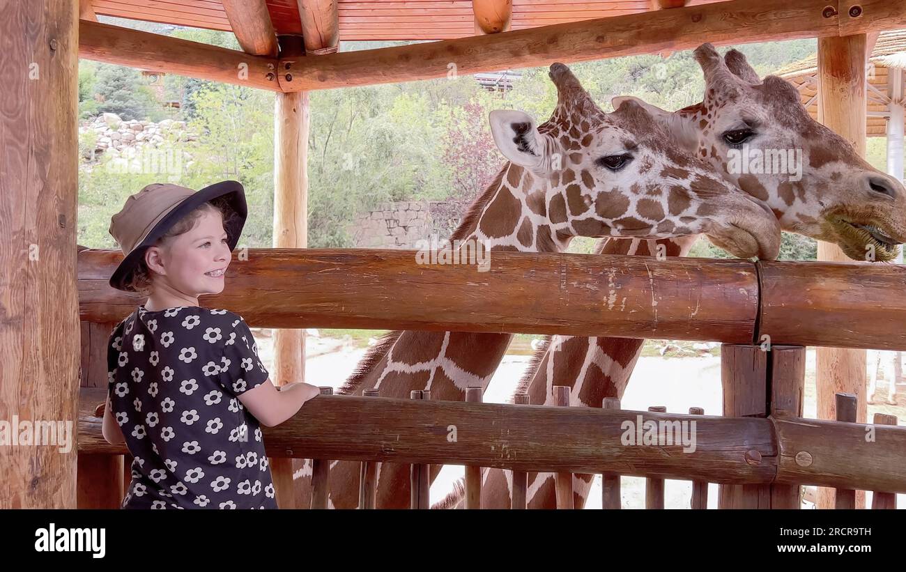 Summer small Zoo trip Stock Photo - Alamy