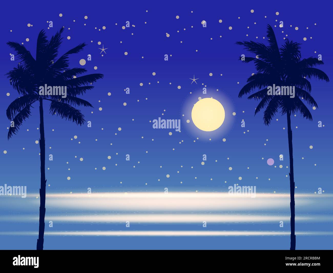 Tropical seashore night landscape, coast, palms, moonlight, ocean ...