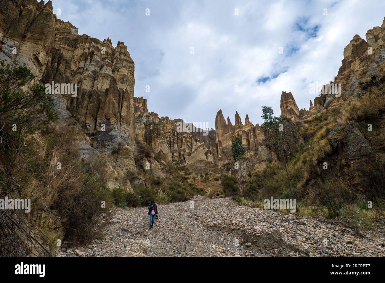 Palca, La Paz Bolivia - August 7 2022: Indigenous Woman Walk in a Dry ...