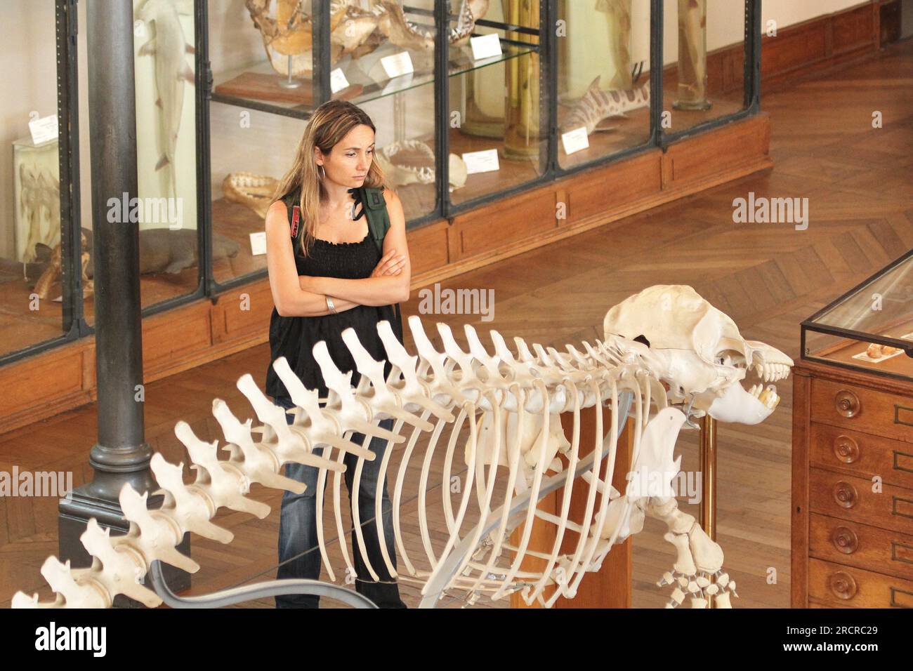 Applied Oceanography Room, renamed the Whale Room ,Oceanographic Museum ...