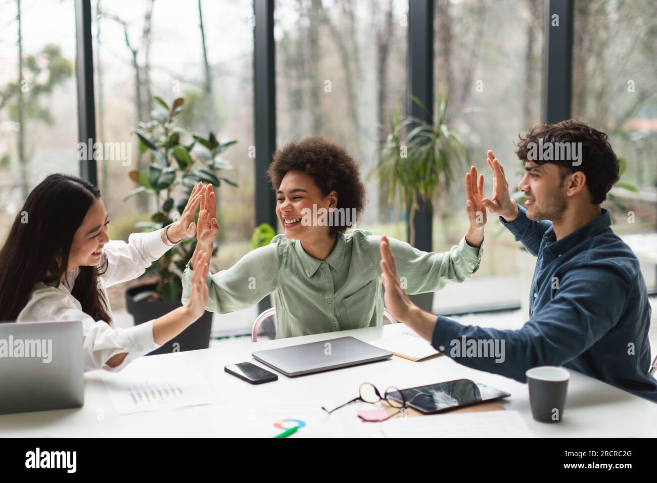 Diverse Young Business Team Shares High Five in Office Interior Stock ...
