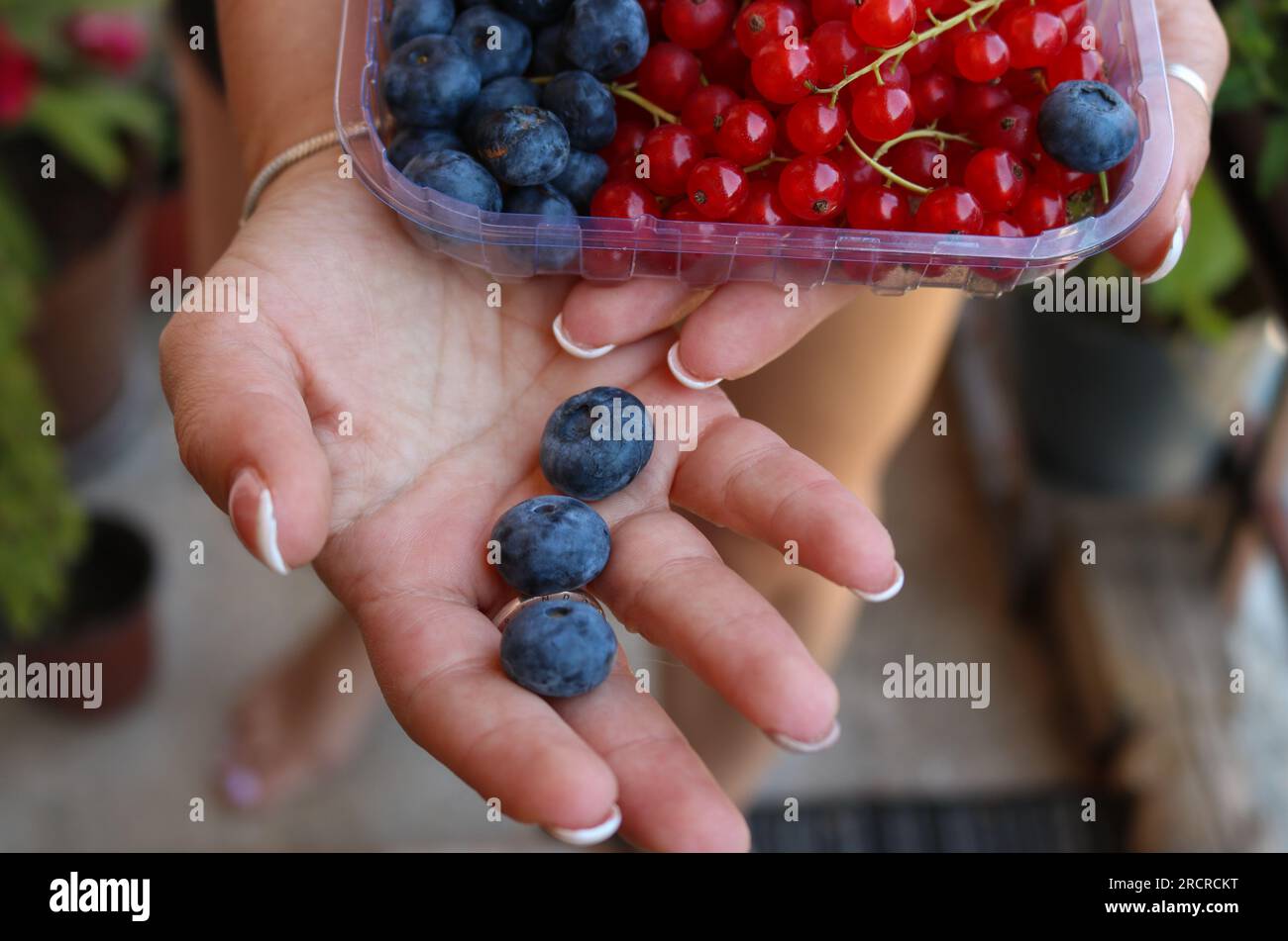 Ingredients and nutrition hi-res stock photography and images - Alamy