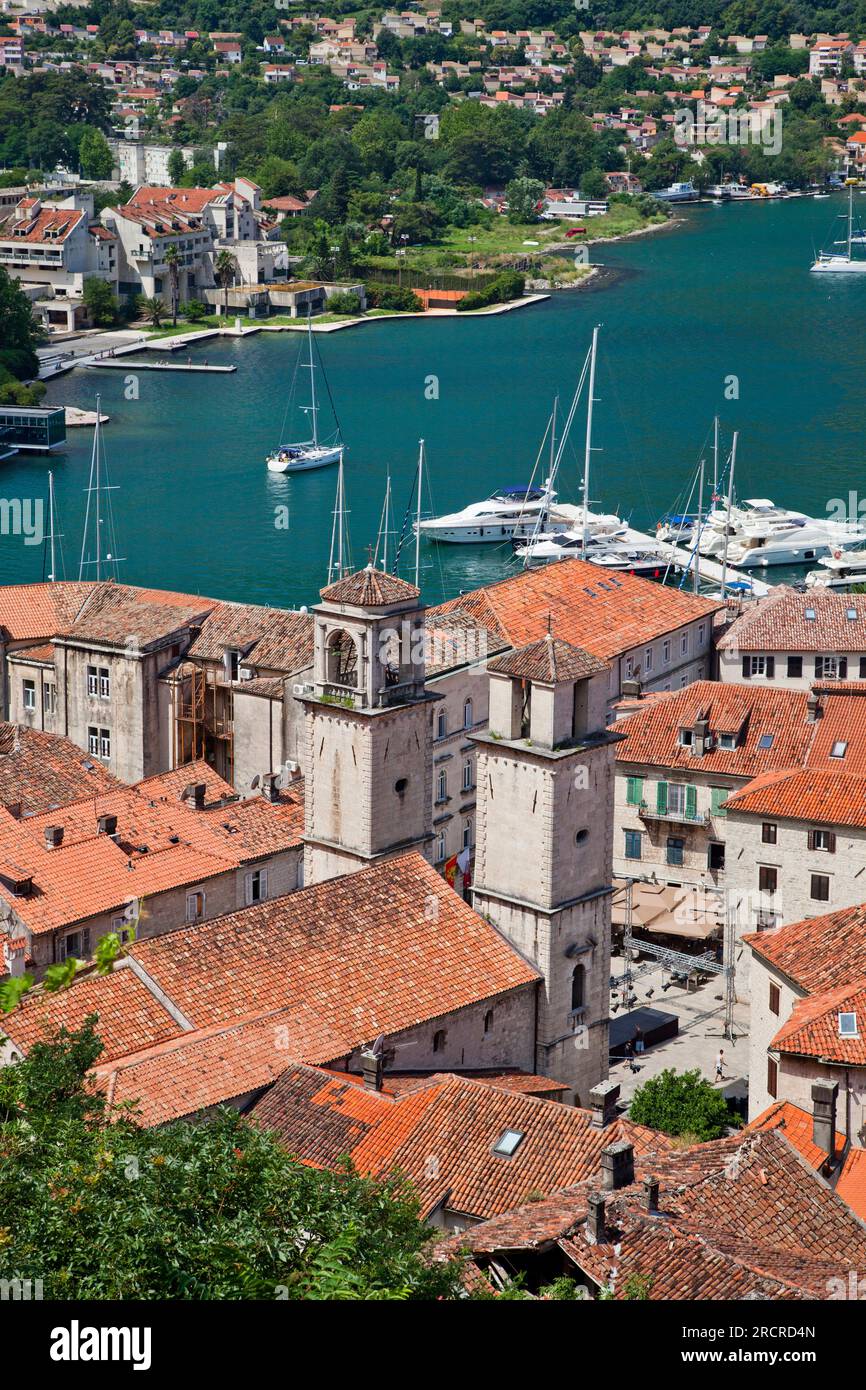 Kotor, Cattaro, Montenegro Stock Photo - Alamy