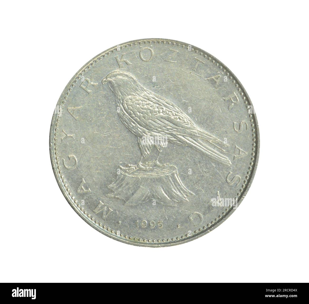 50 forint coin made by Hungary, that shows Saker falcon Stock Photo - Alamy