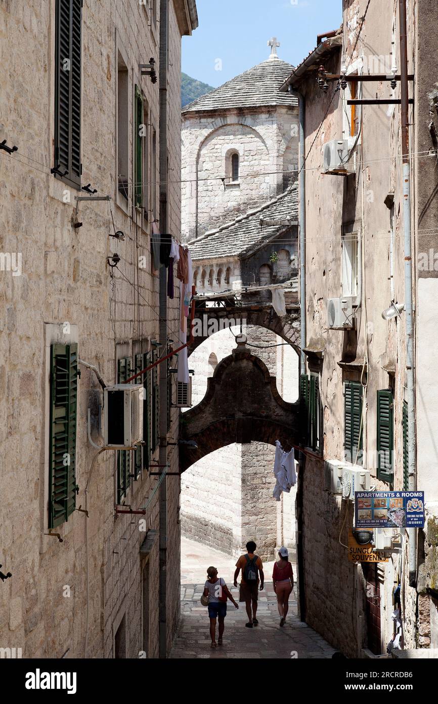 Kotor, Cattaro, Montenegro Stock Photo - Alamy