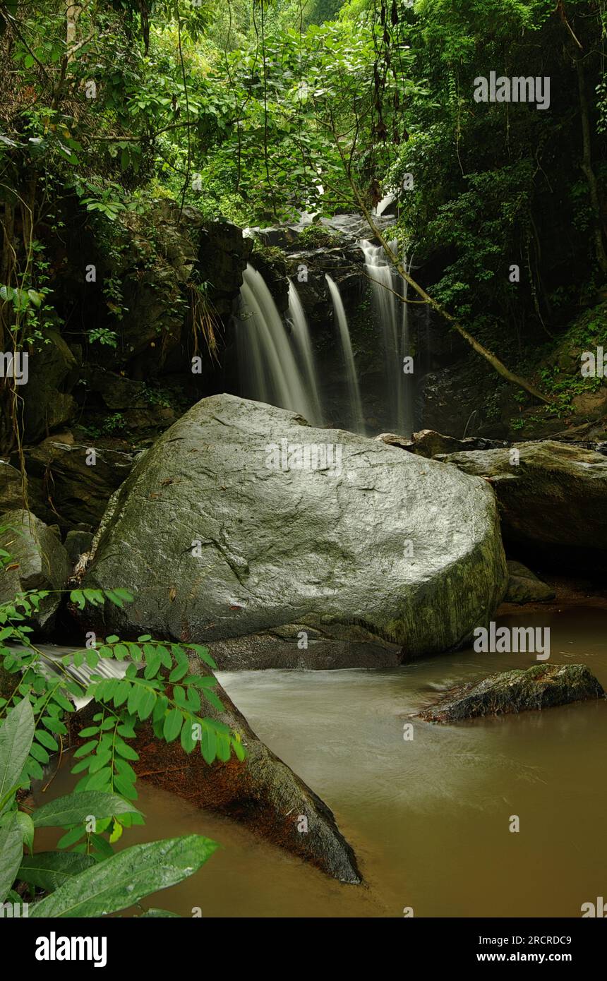 Waterfall within green luxuriant rainforest environment Stock Photo - Alamy