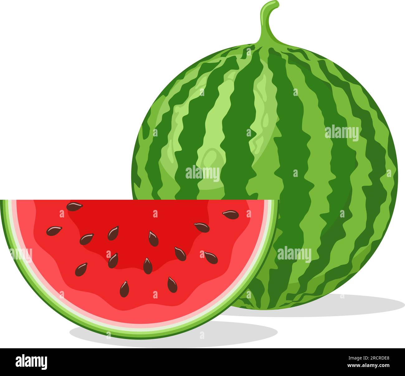 Cartoon isolated melon Stock Vector Image & Art - Alamy