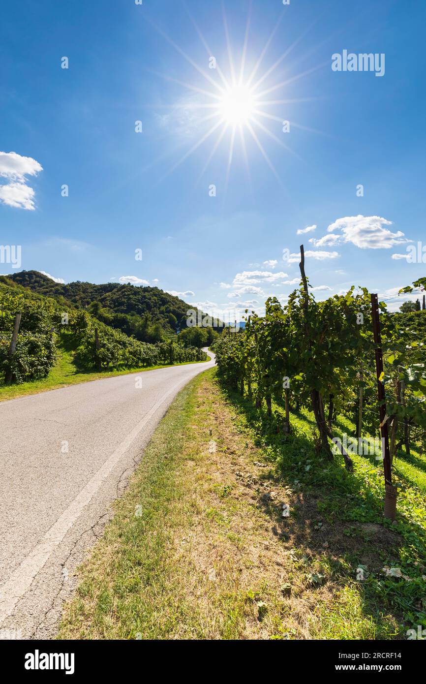 Vineyards road prosecco hills hi-res stock photography and images - Alamy