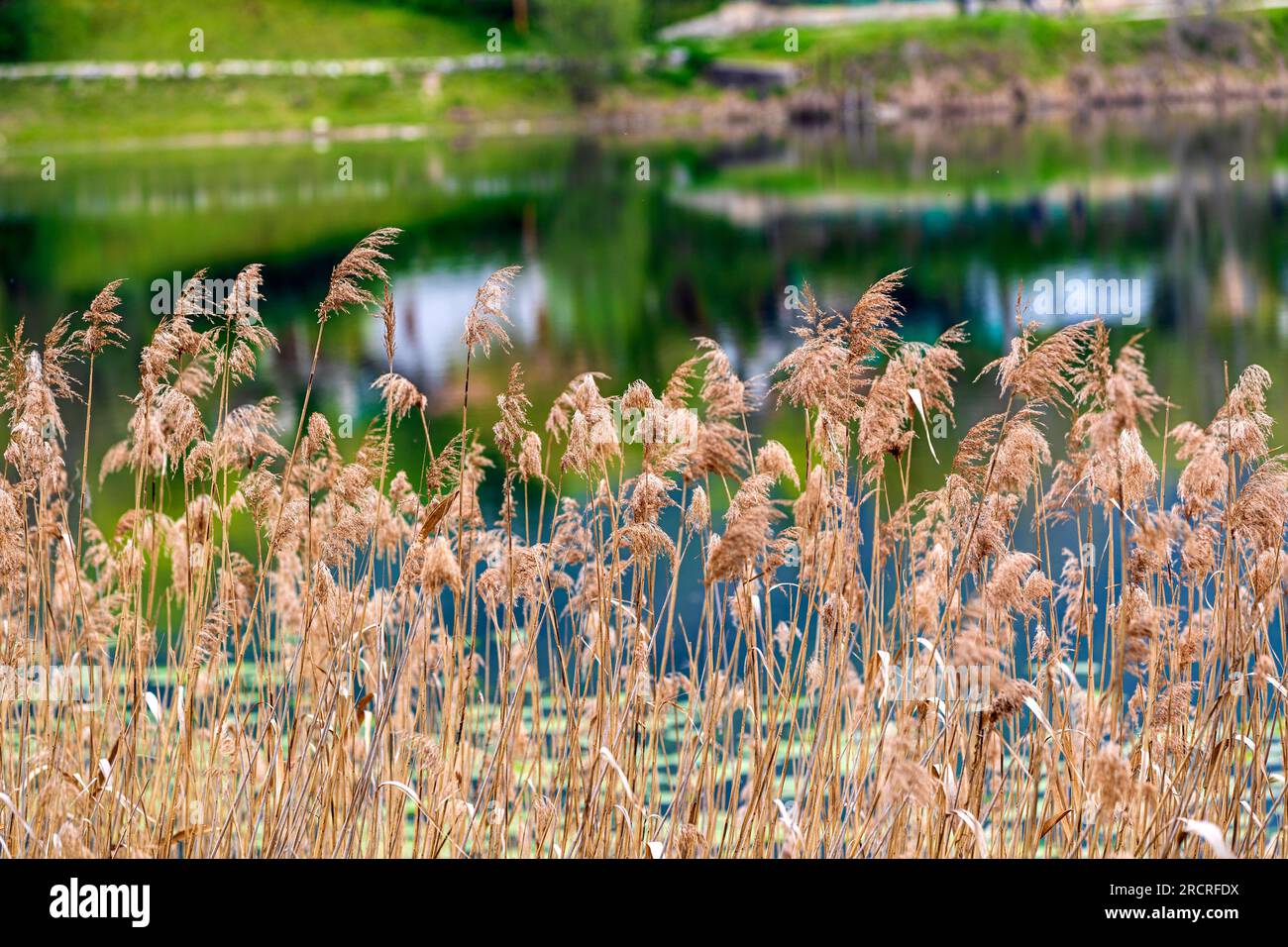 Italy Veneto Lakes of Revine - Nature path Stock Photo - Alamy