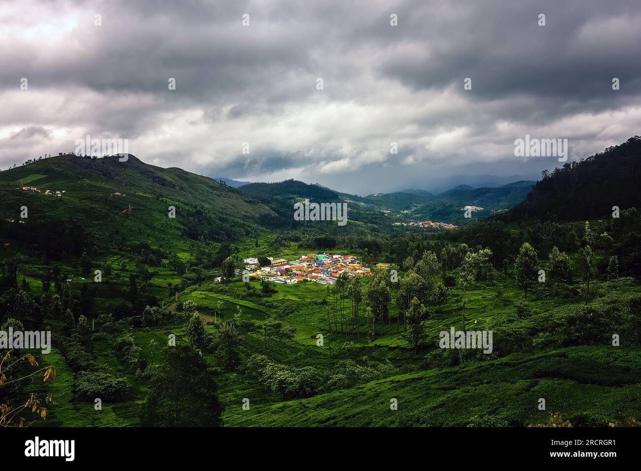 Nature background green environment -Tea Garden at Kotagiri hill India ...