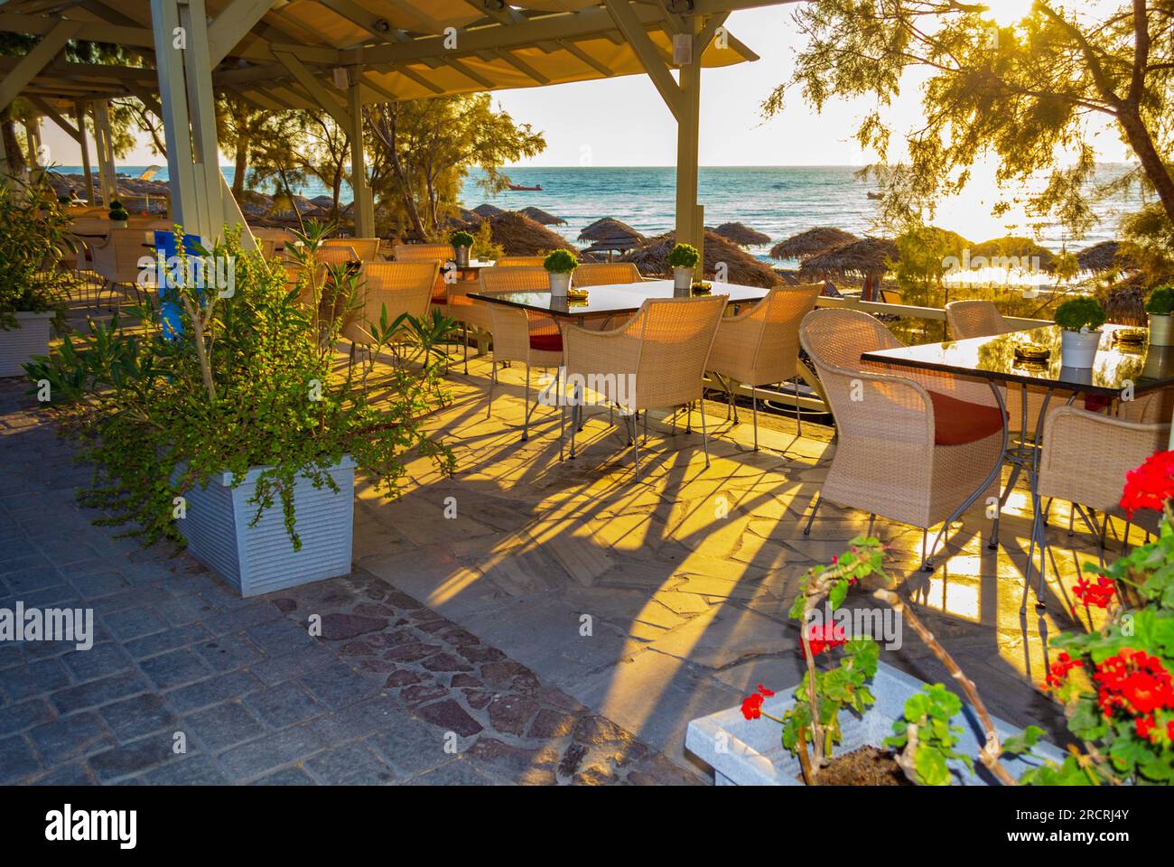Empty elegant beachside cafe outdoor seating,only kittens playing under ...