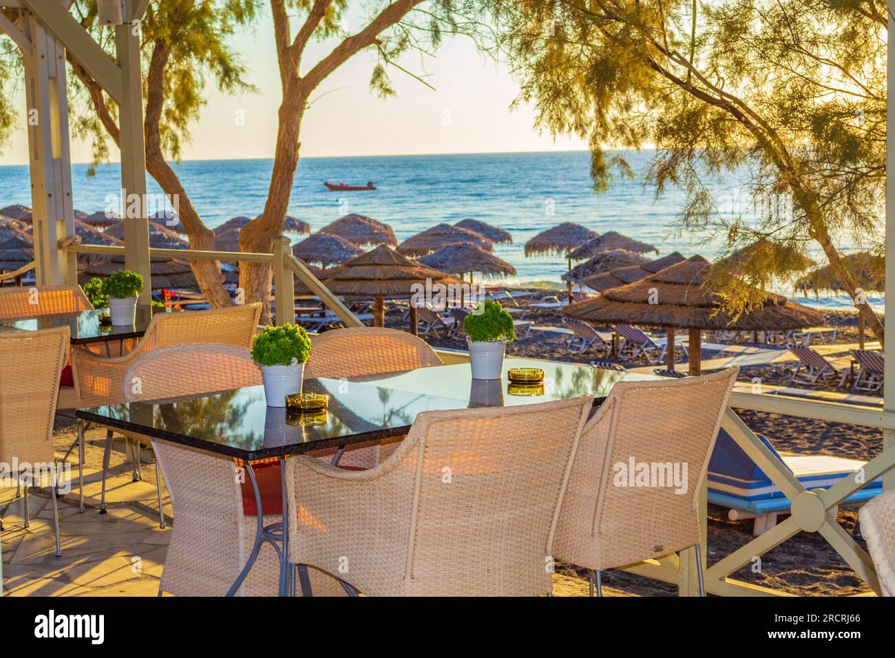 Empty elegant beachside cafe outdoor seating,only kittens playing under ...