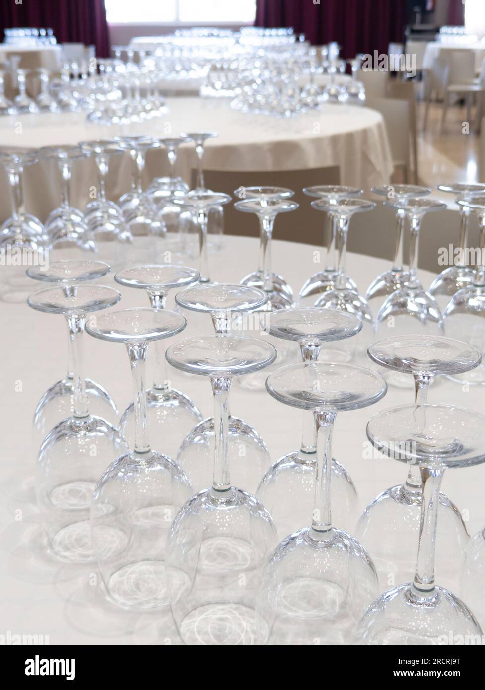 The Art of Wine Appreciation: A Captivating Scene at a Refined ...