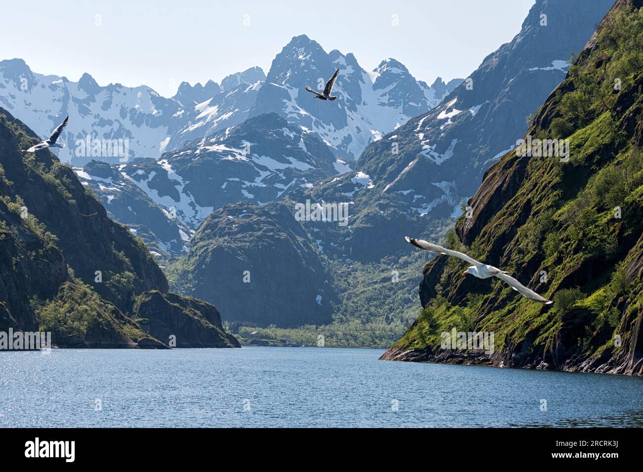 Trollfjord trollfjorden hi-res stock photography and images - Alamy