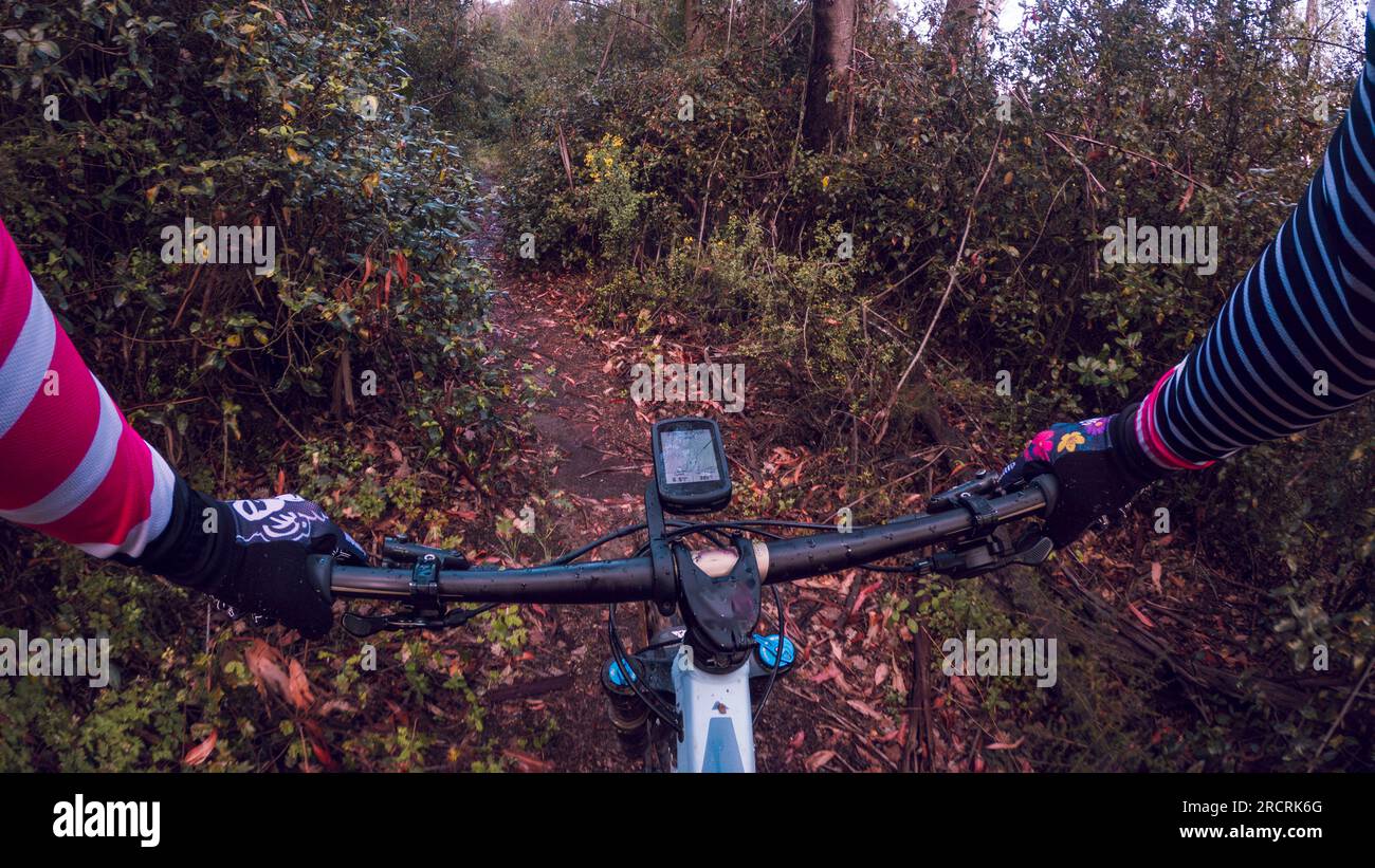 Single point perspective hi-res stock photography and images - Alamy