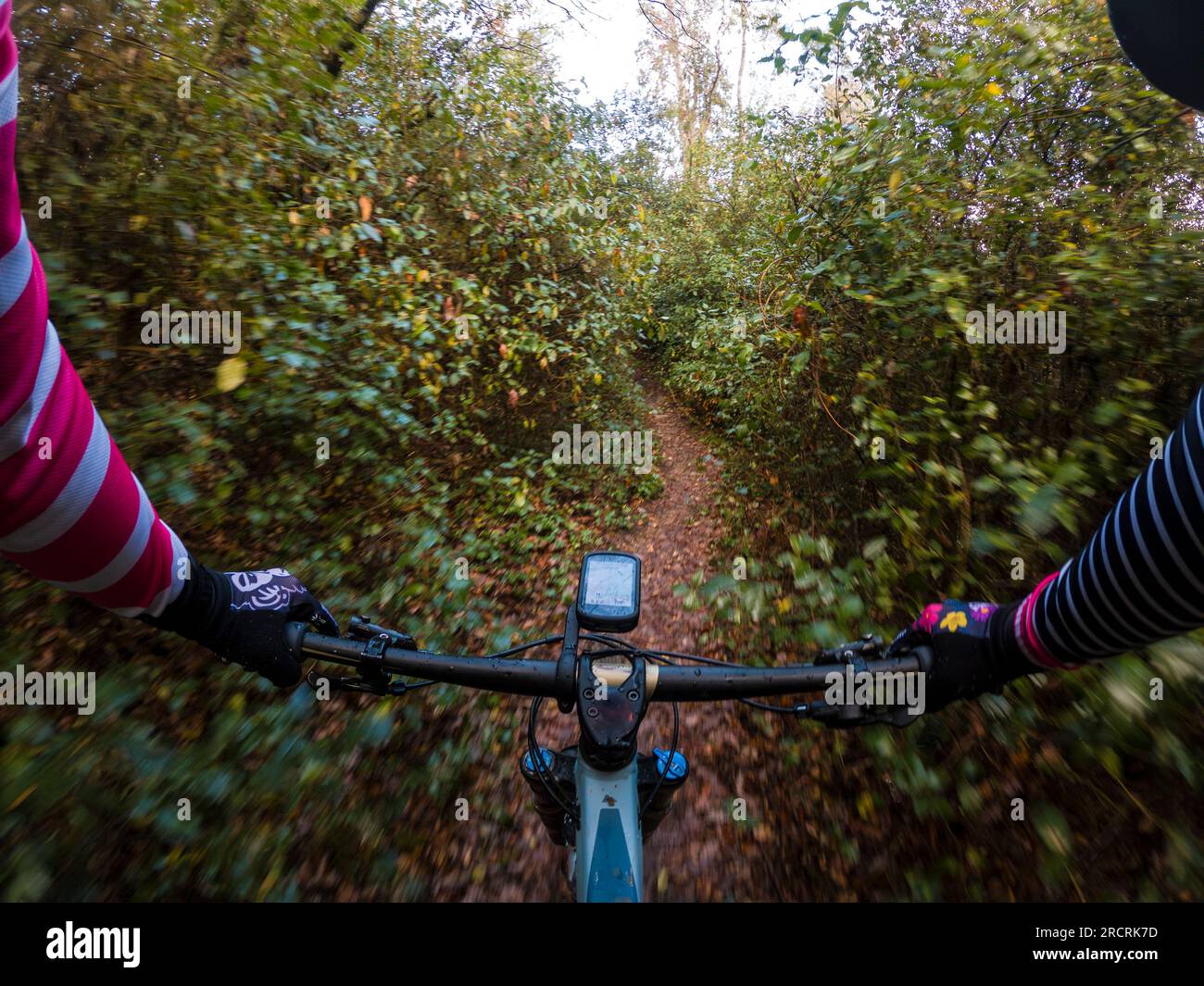 Single point perspective hi-res stock photography and images - Alamy