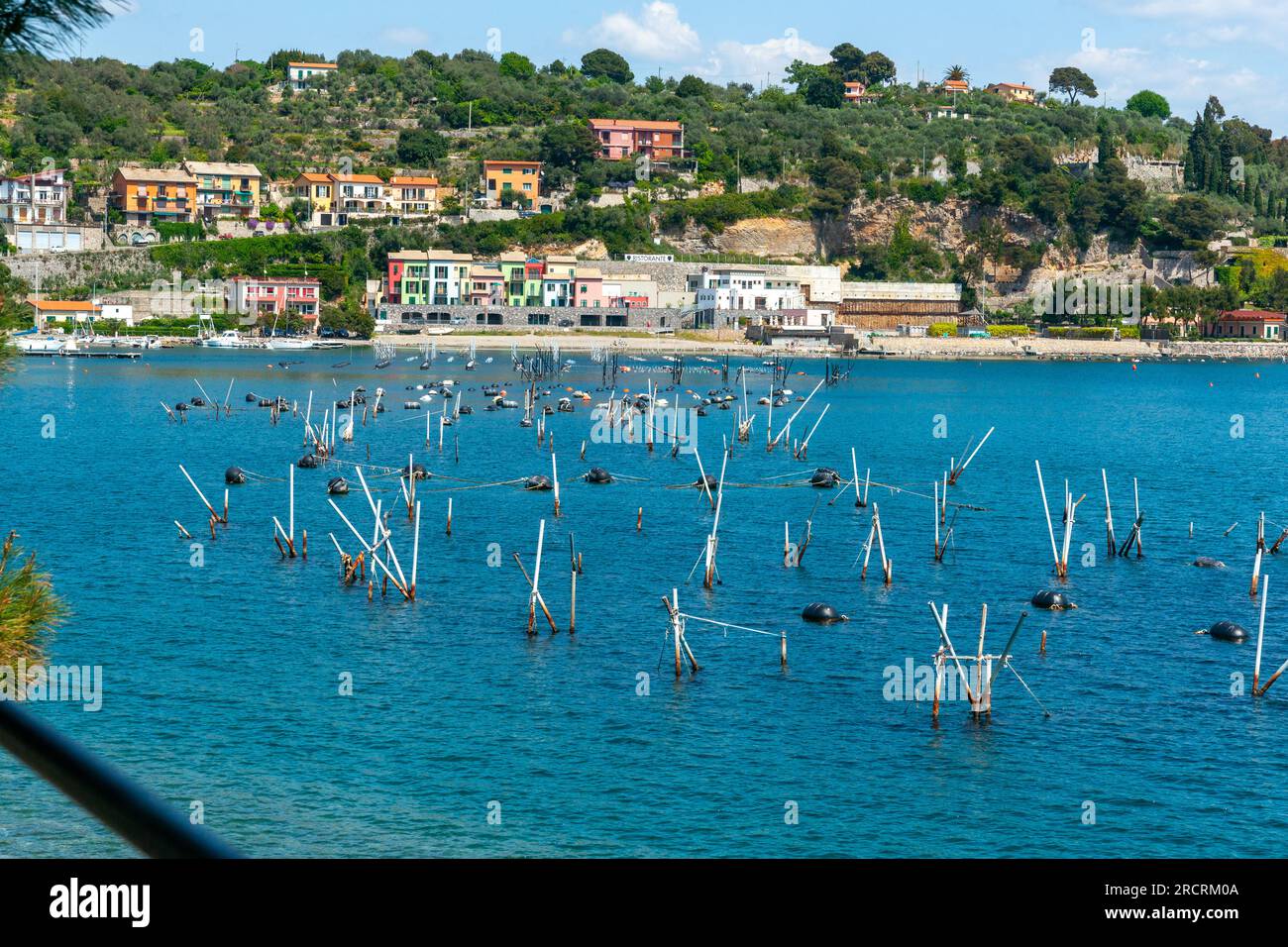 Scenic bay in Portovenere with stick structure of traditional mussel ...