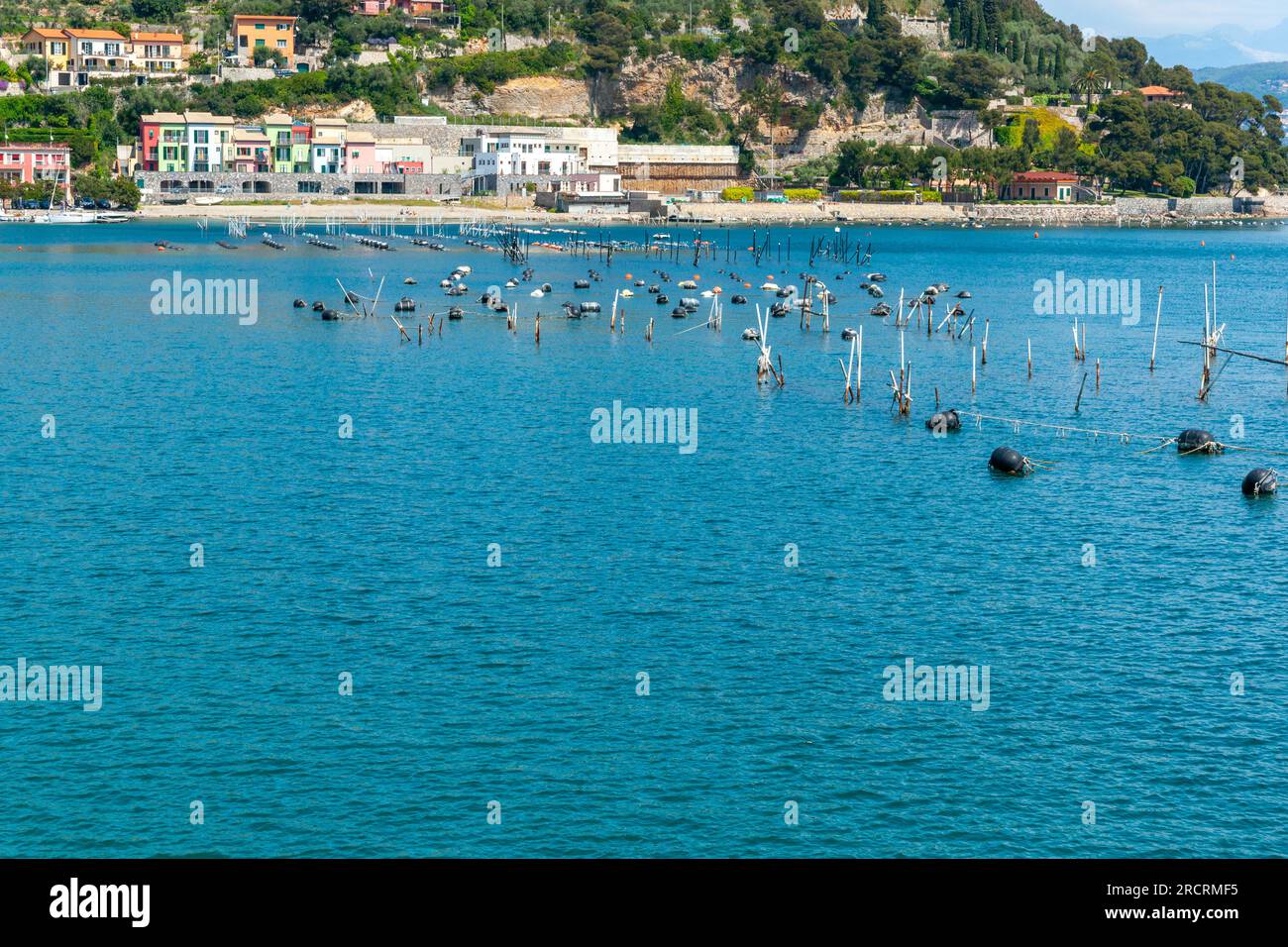 Scenic bay in Portovenere with stick structure of traditional mussel ...