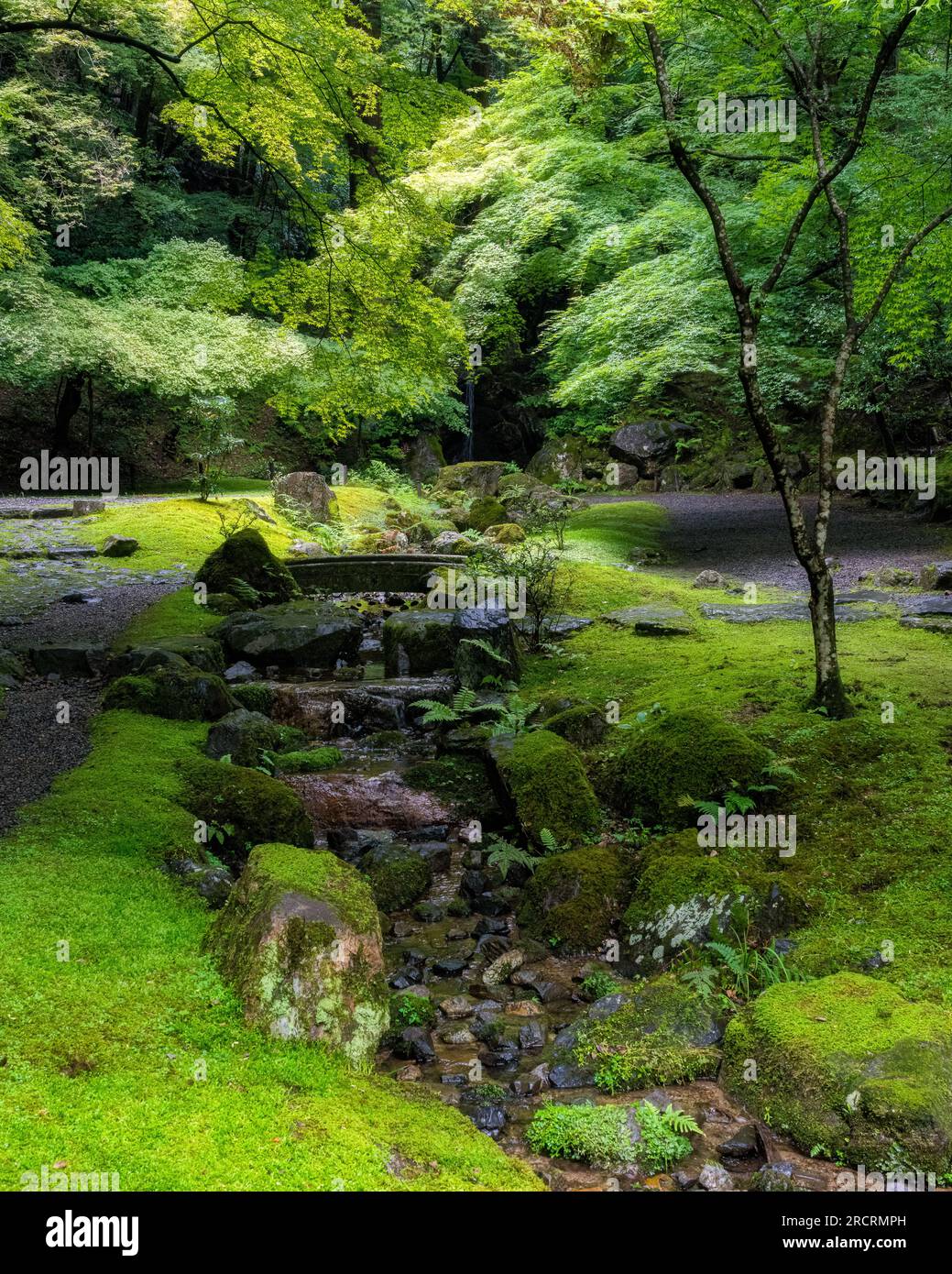 The beautiful Daigo-ji Temple and its garden during summer season ...