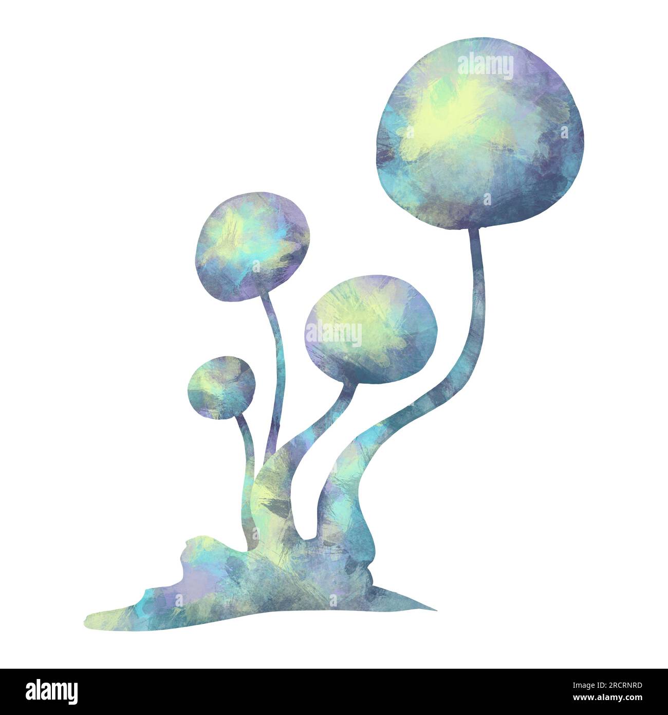 Mold and microorganisms. Close-up of microscopic fungi. For printing ...