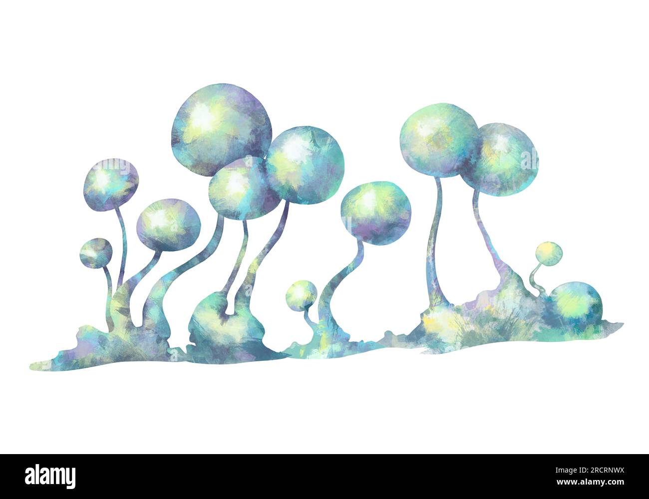 Mold and microorganisms. Close-up of microscopic fungi. For printing ...