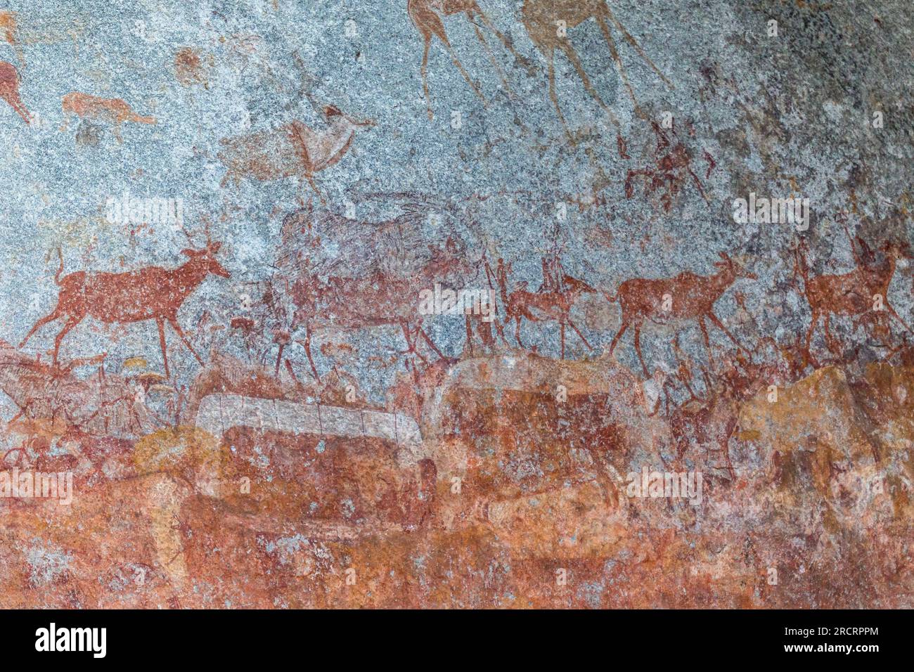 Bushmen Stone age prehistoric rock art in the cave Matobo Hills ...