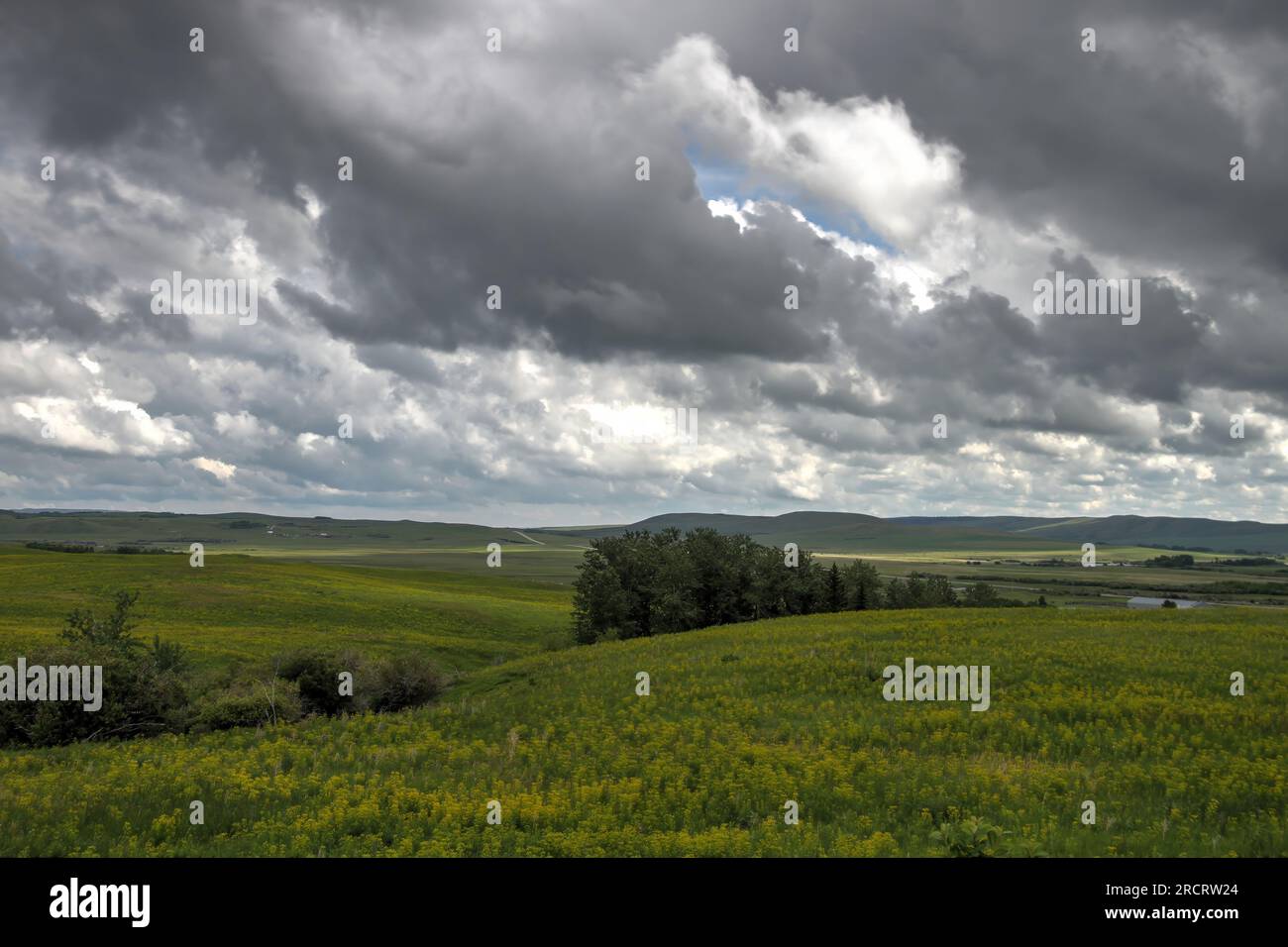 Glacier National Park, Browning, Montana, USA Stock Photo - Alamy
