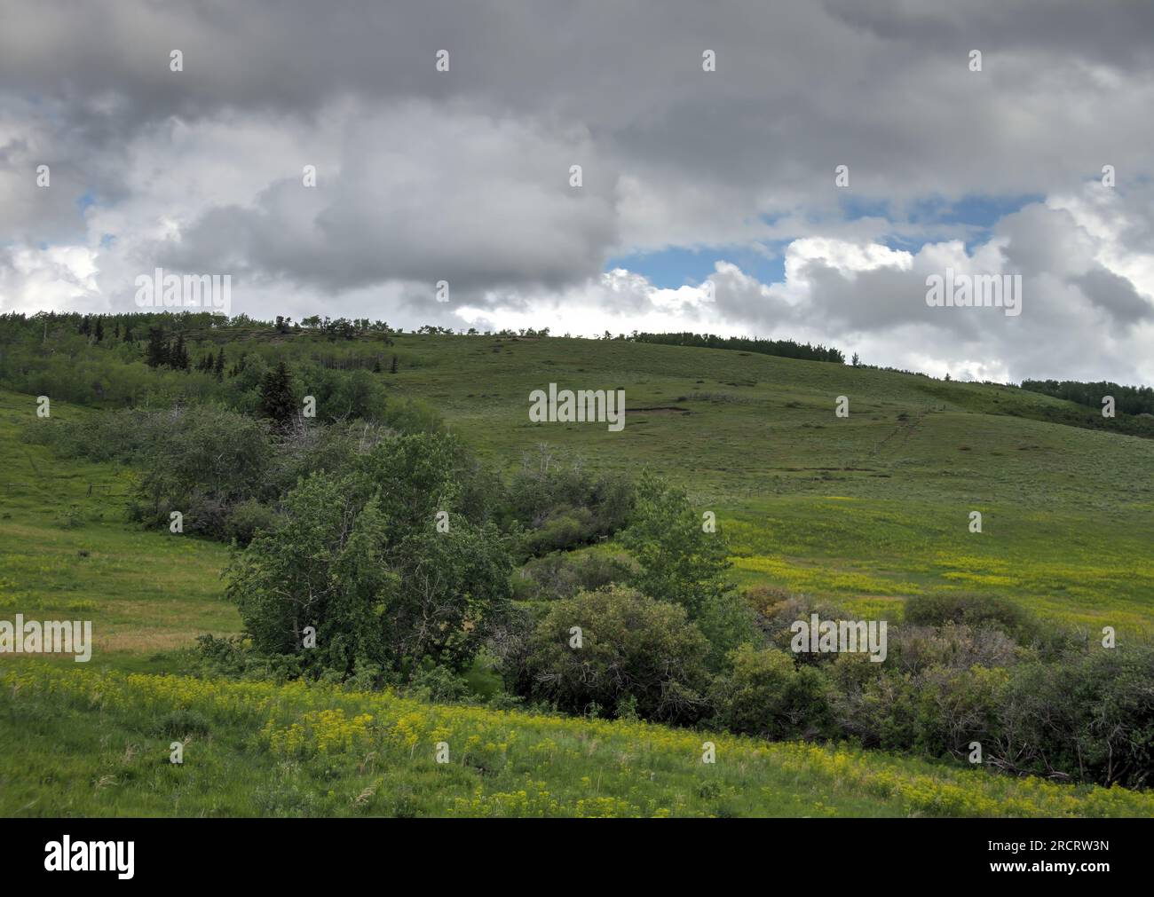 Glacier National Park, Browning, Montana, USA Stock Photo - Alamy