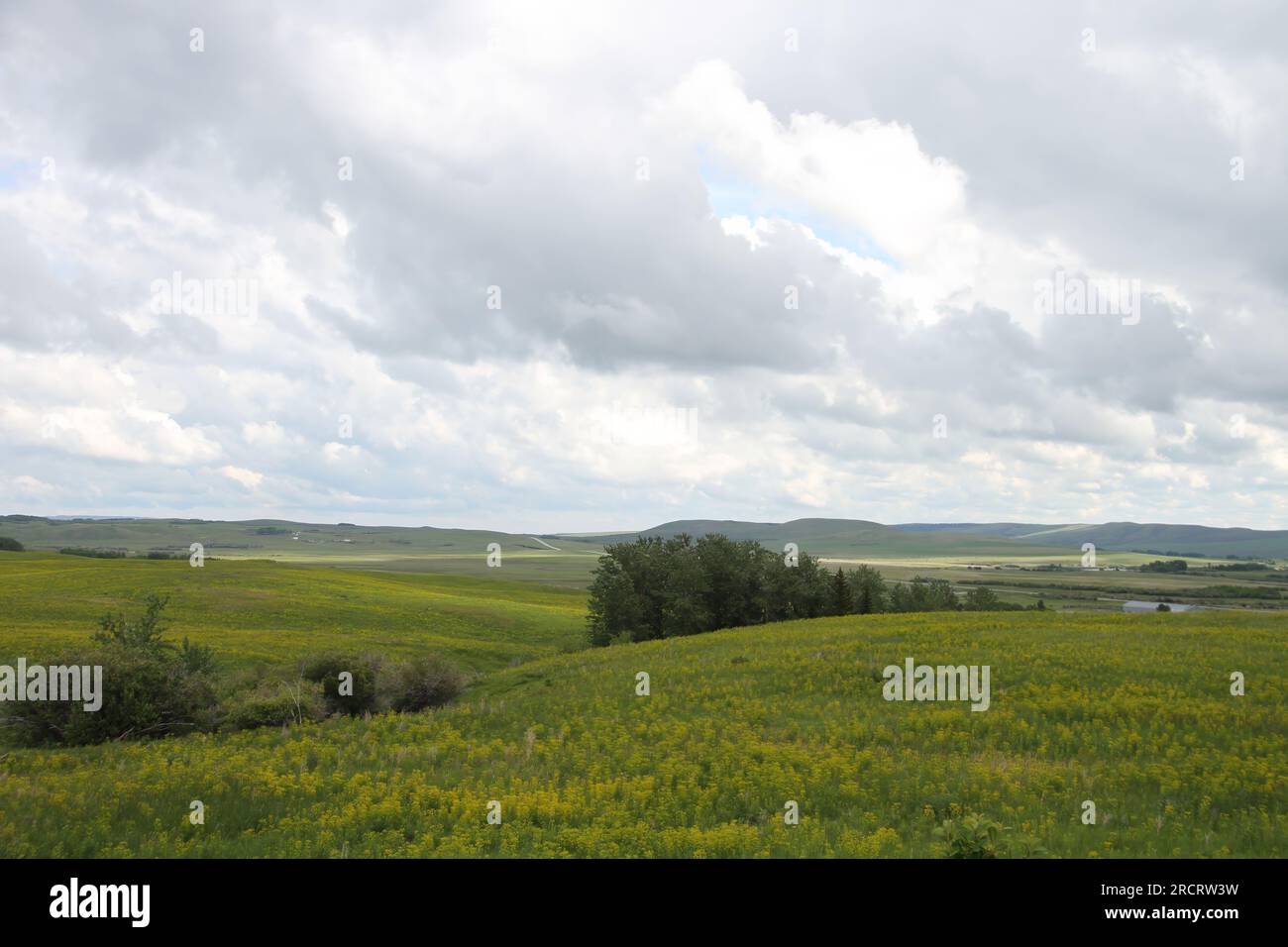 Glacier National Park, Browning, Montana, USA Stock Photo - Alamy