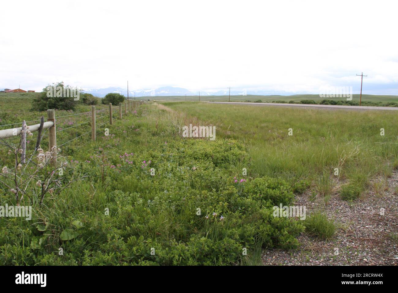 Glacier National Park, Browning, Montana, USA Stock Photo - Alamy
