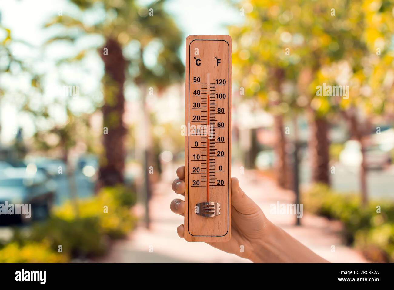 Hot weather. Thermometer in hand in front of street with trees and ...