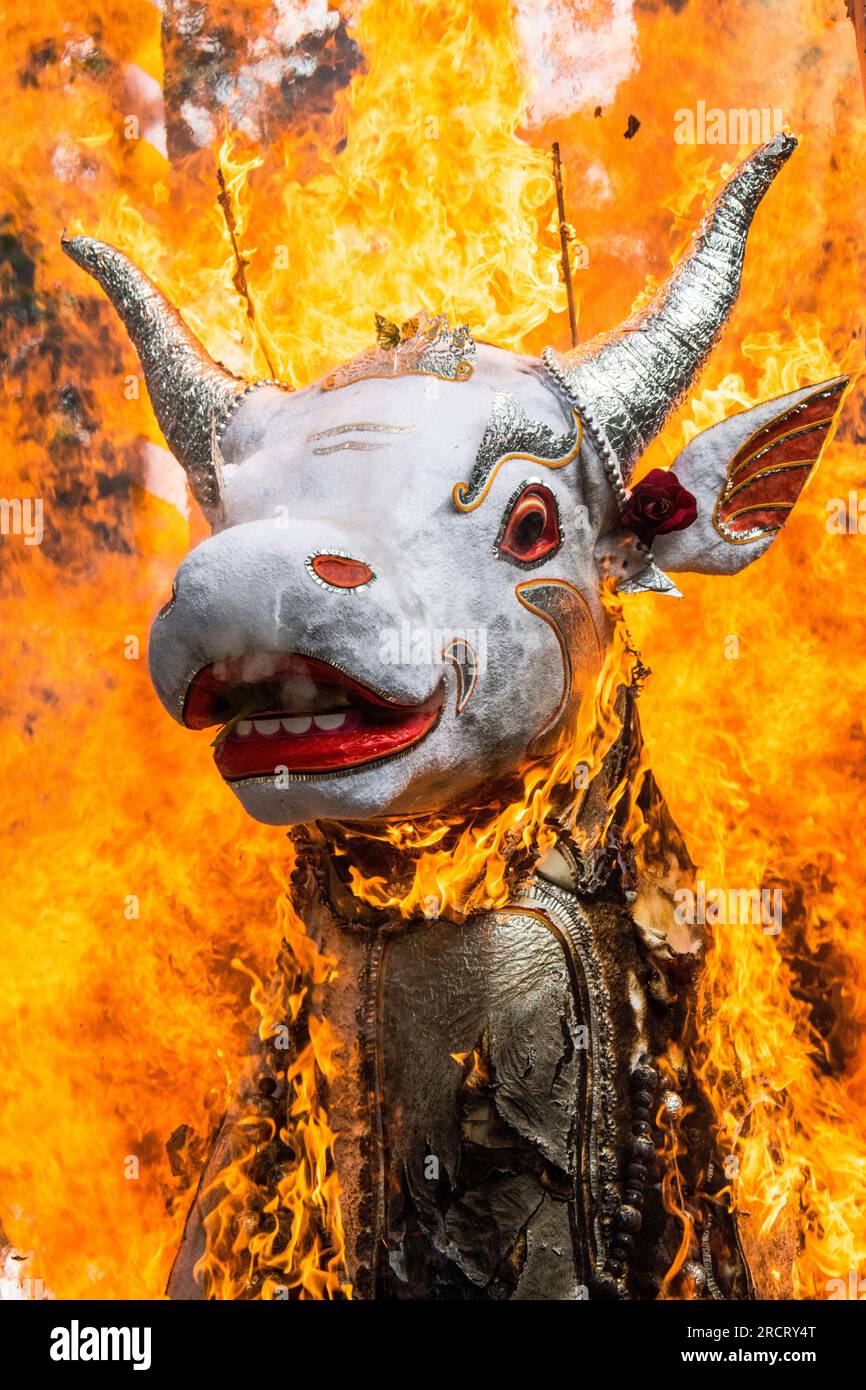 Burning Funeral Lembu, Ubud, Bali, Indonesia Stock Photo - Alamy