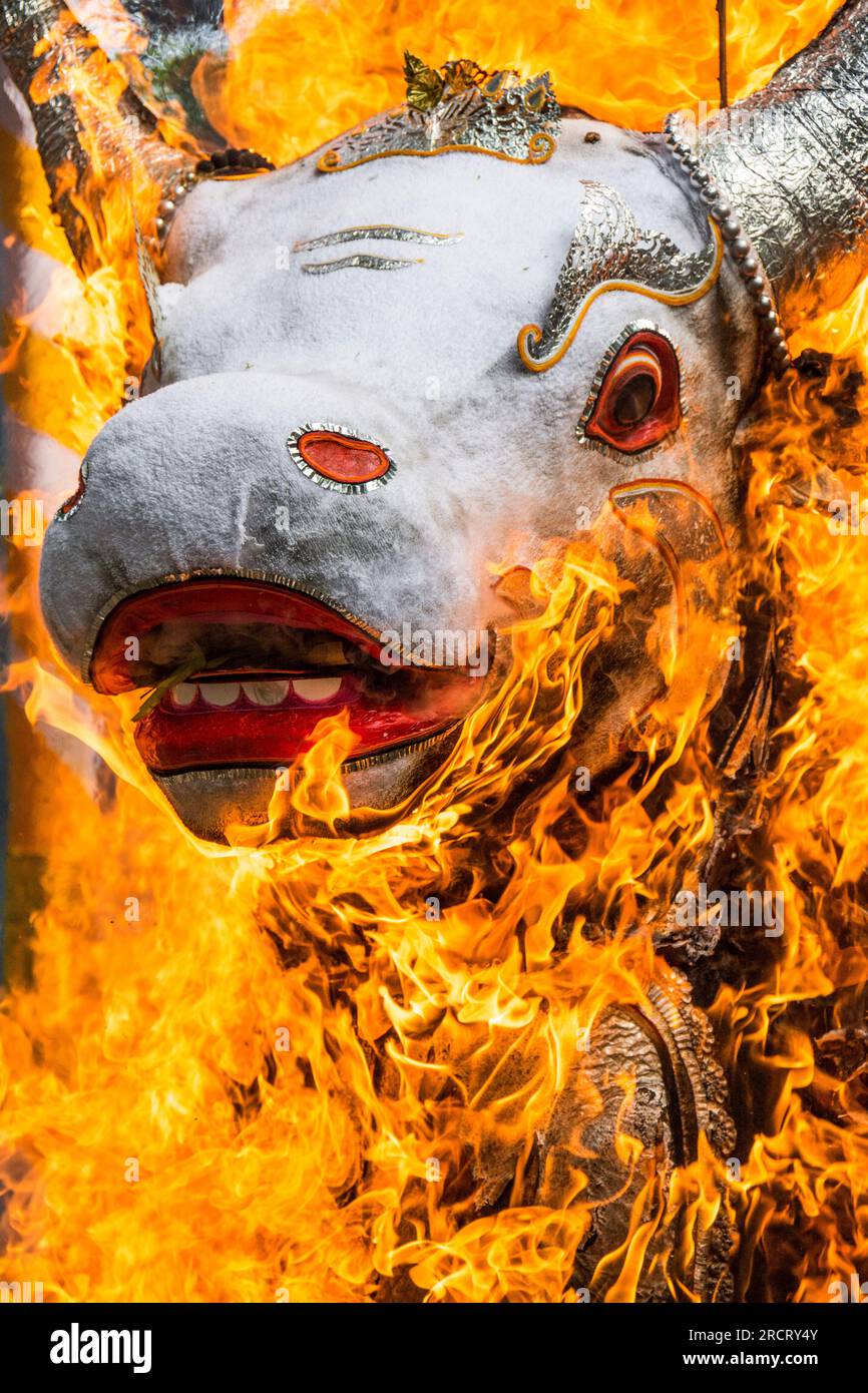 Burning Funeral Lembu, Ubud, Bali, Indonesia Stock Photo - Alamy