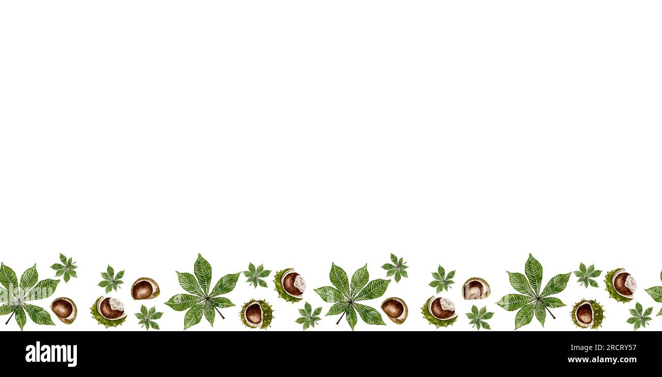Border of leaves and fruits of chestnut. Watercolor illustration Stock ...