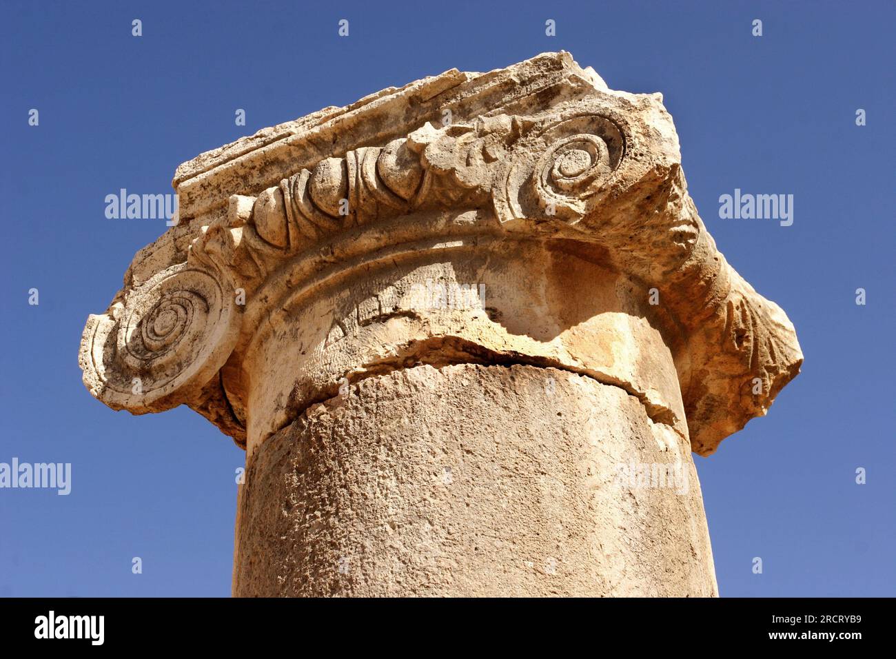ionic column, Jerash, Gerasa, archaeological site, Amman, Jordan Stock ...