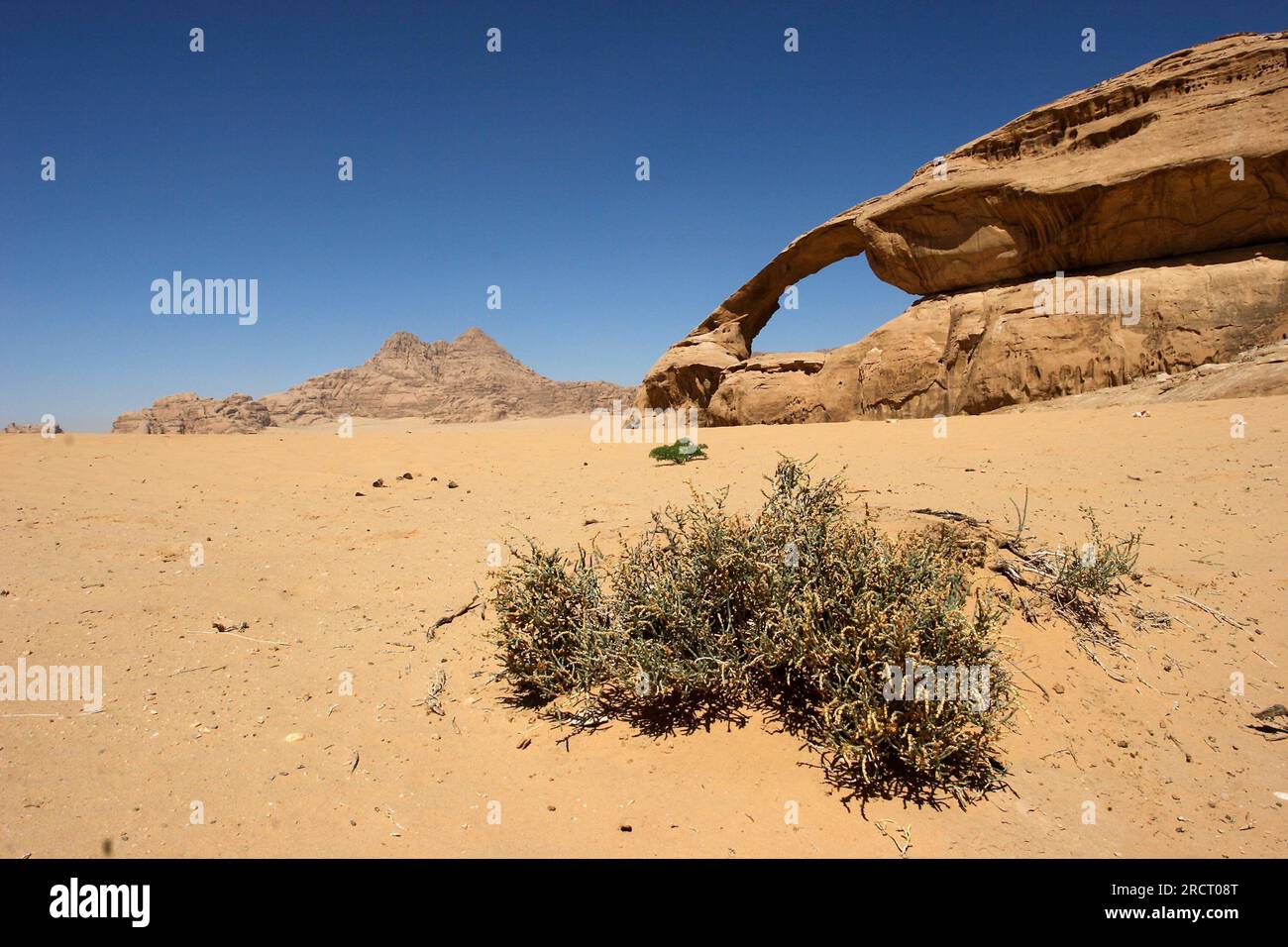 Uadi Rum, Wadi Rum, وادي رم‎, , Wādī Rum, desert, Valley of the Moon ...