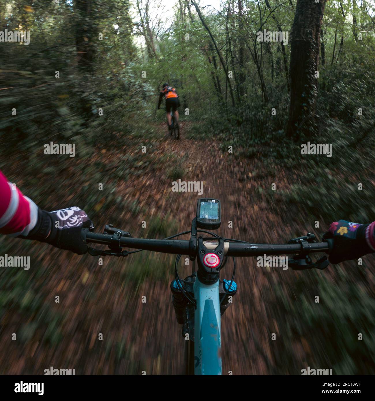Chasing a rider in a mountain bike race in a single track forest trail ...