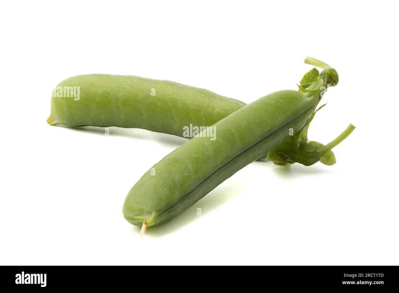 Fully closed Cut Out Stock Images & Pictures - Alamy