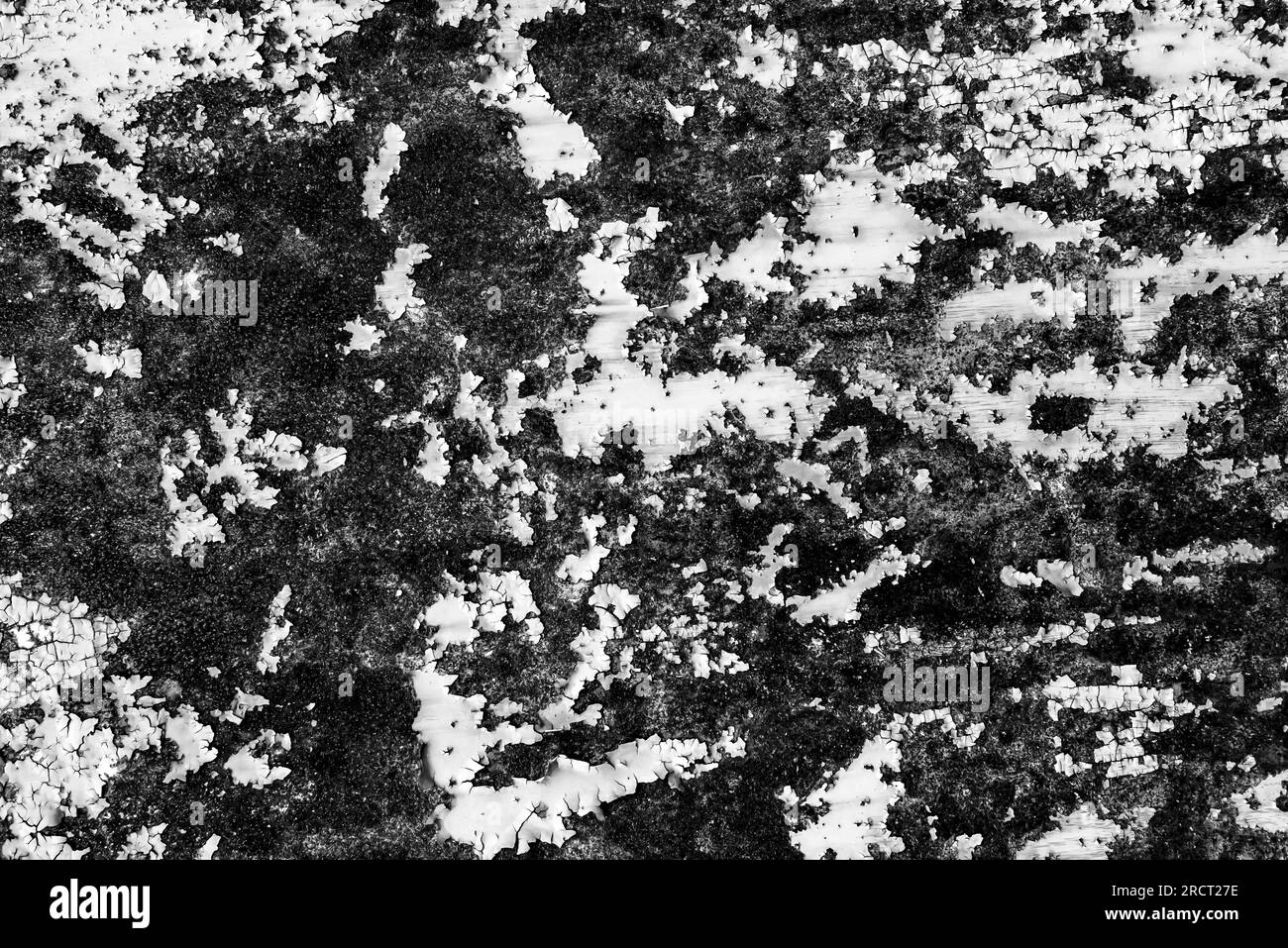 Texture of rusty old metal with cracked peeling paint. metal background ...