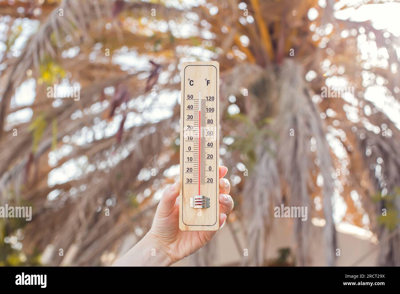 Hot weather. Thermometer in hand in front of dry plants during heatwave ...