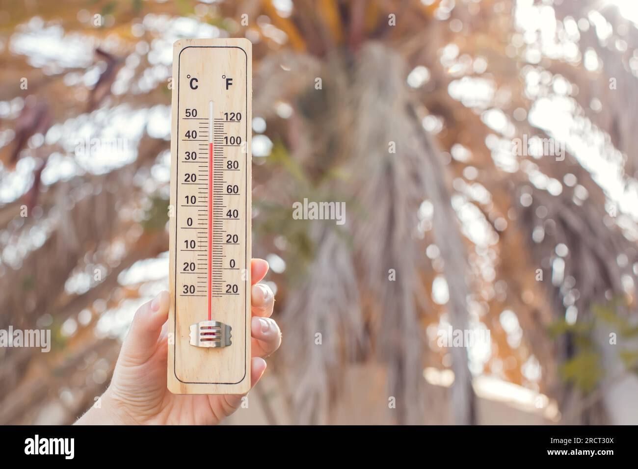 Hot weather. Thermometer in hand in front of dry plants during heatwave ...