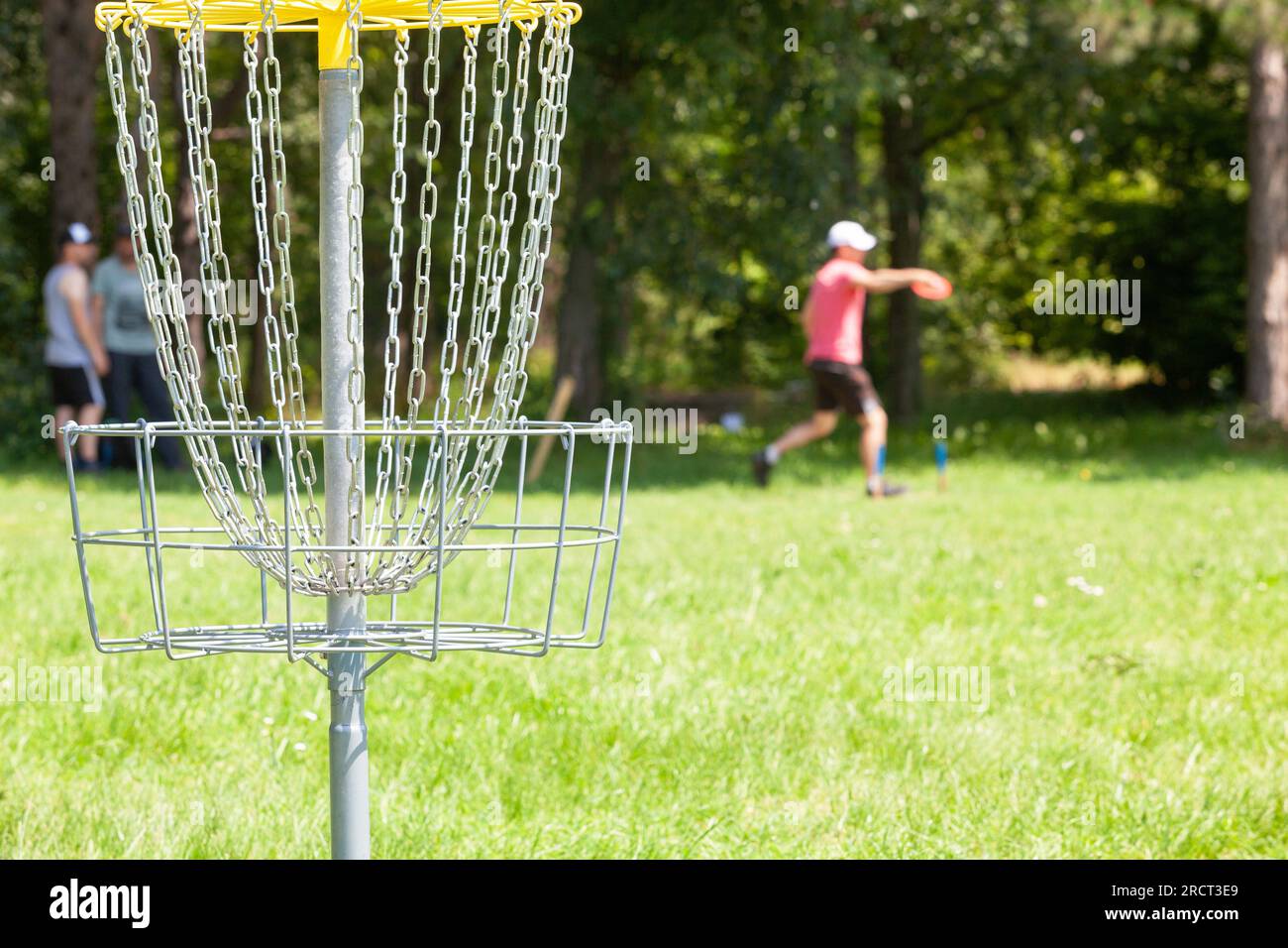 Disc golf player throwing a flying disc in the park, chain basket in ...