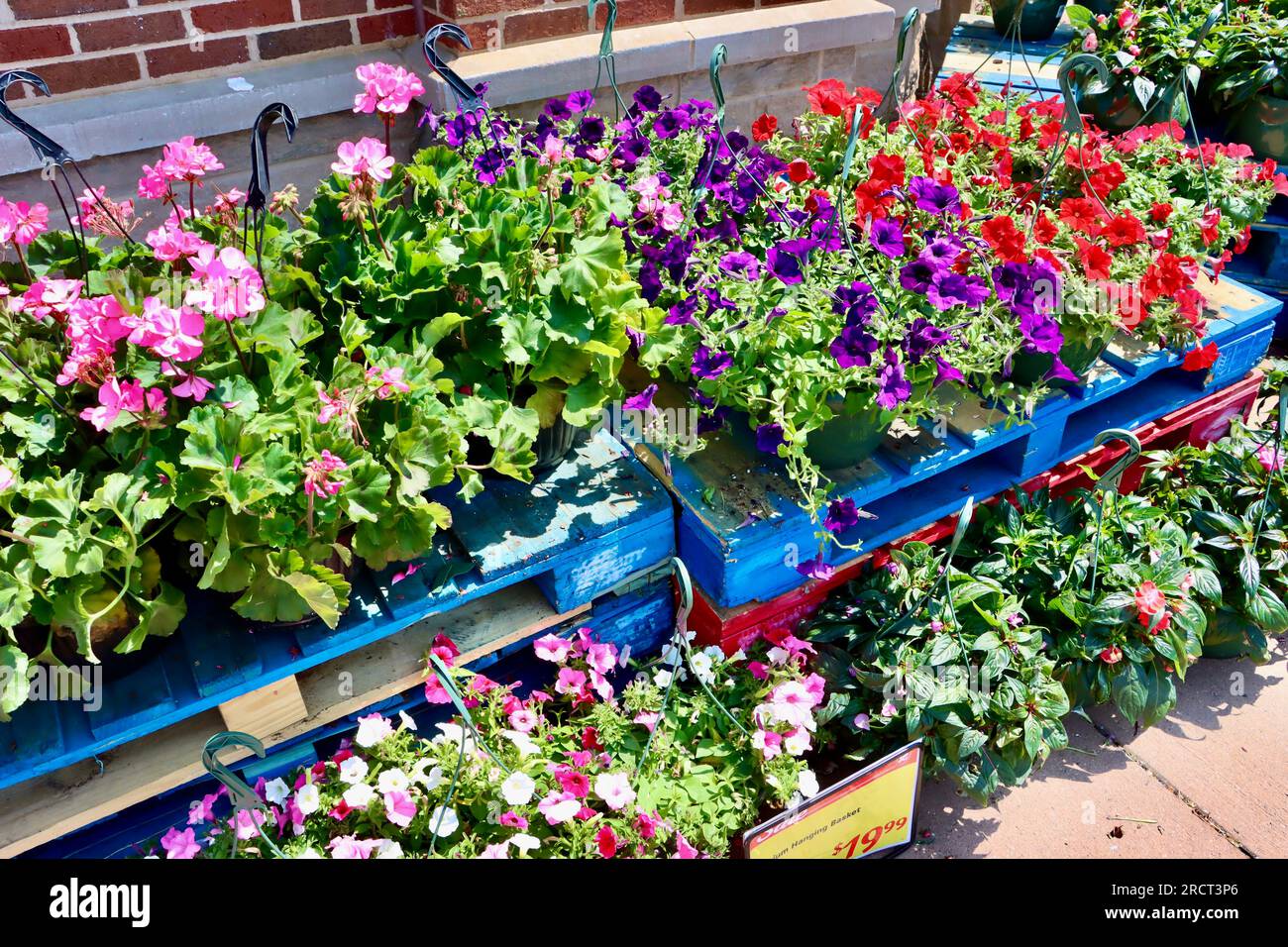 Cleveland spring planting hi-res stock photography and images - Alamy